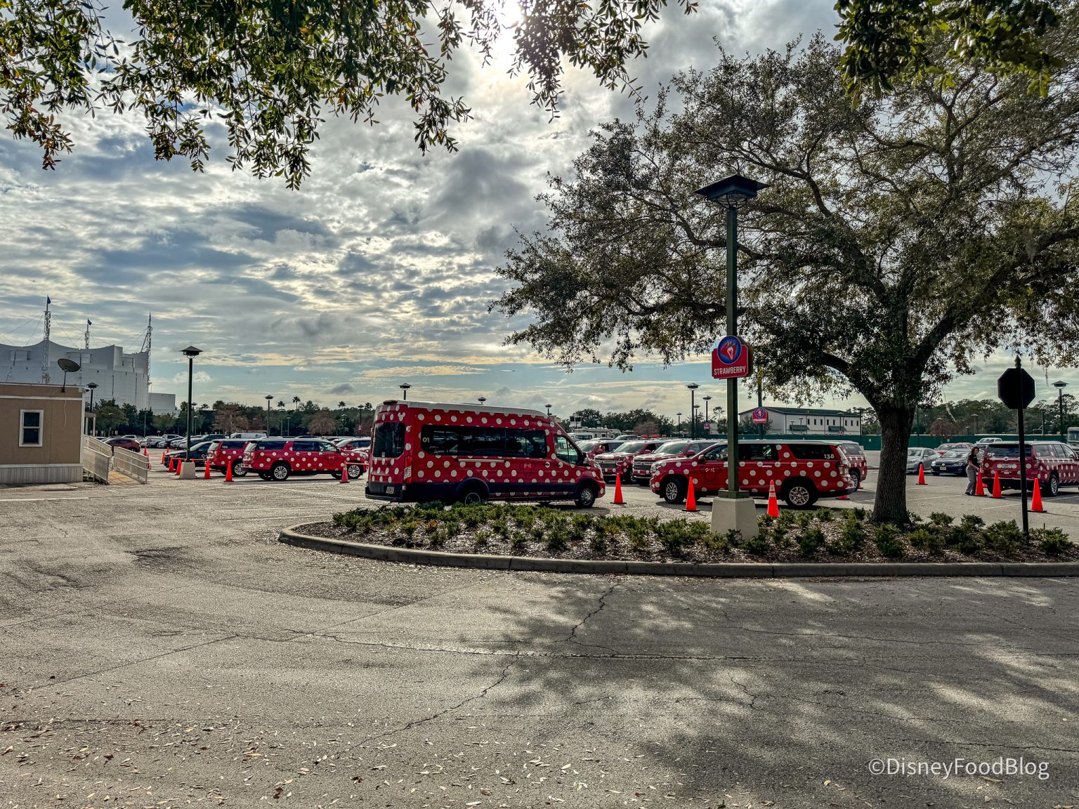 We Bet You've Never Seen the Spot Where Minnie Vans Go To Rest at Night ...