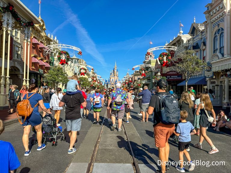 A SURPRISING Look at New Year's Day Magic Kingdom CROWDS in Disney ...