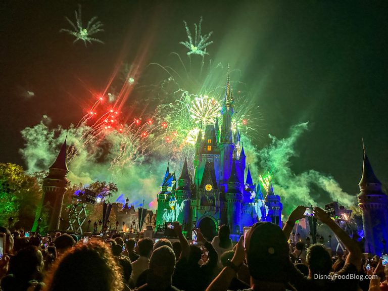 Count Down to the New Year With Us With Fireworks in Disney World | the ...