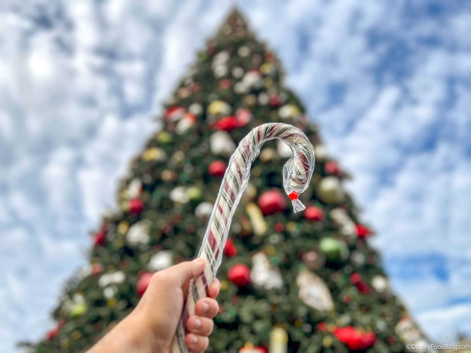 One of Disney's Most Iconic Holiday Treats Has RETURNED | the disney ...