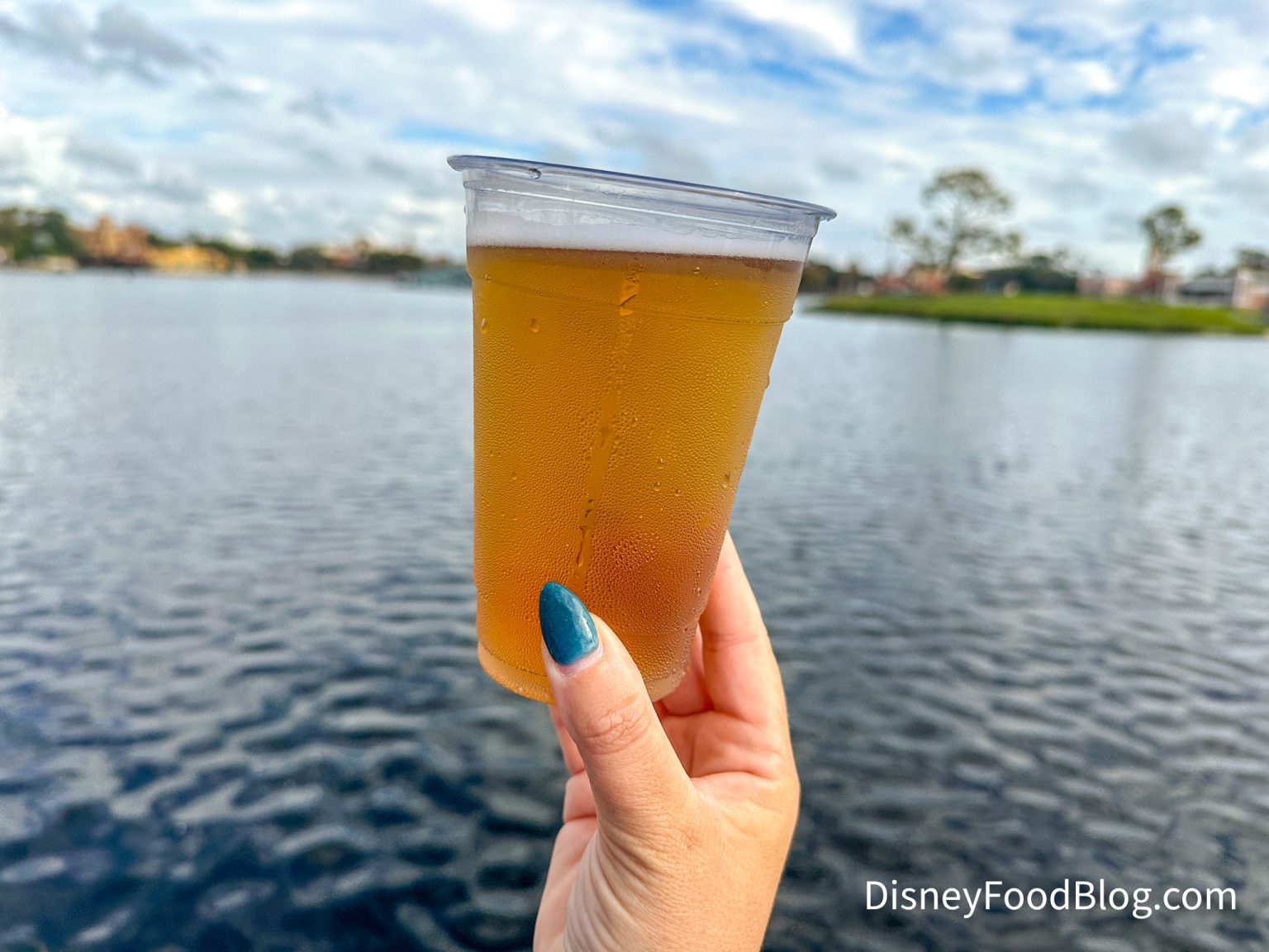 REVIEW: This EPCOT Restaurant Proves That Simple is Best | the disney ...