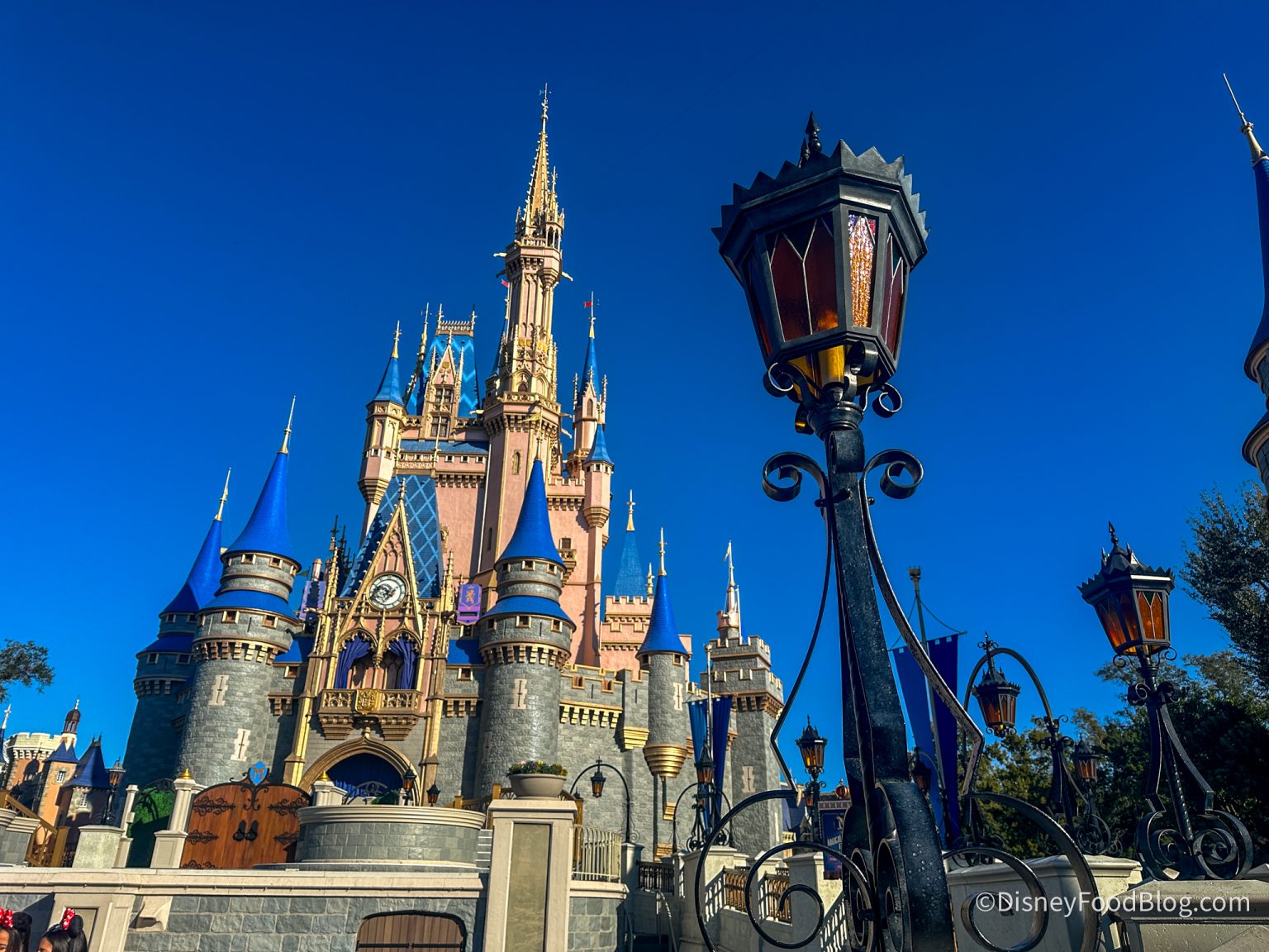 disney world 25th anniversary | the disney food blog