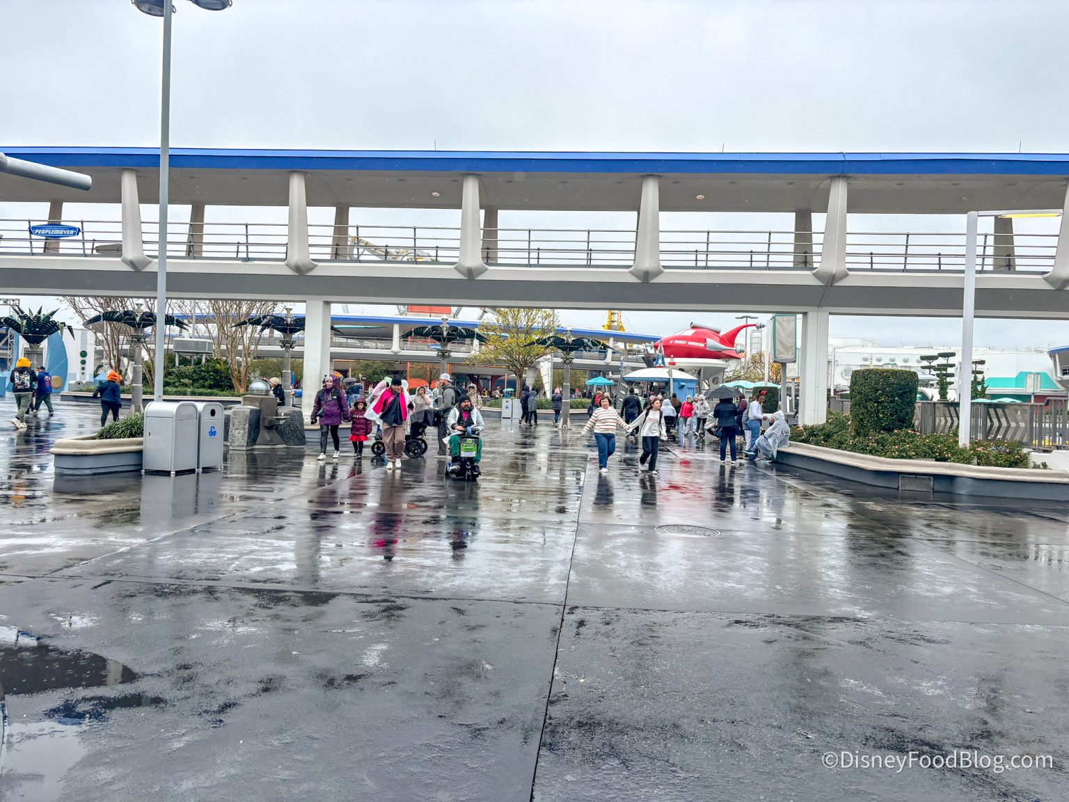 NEWS: Severe Weather Advisory Issued for Disney World Counties | the ...