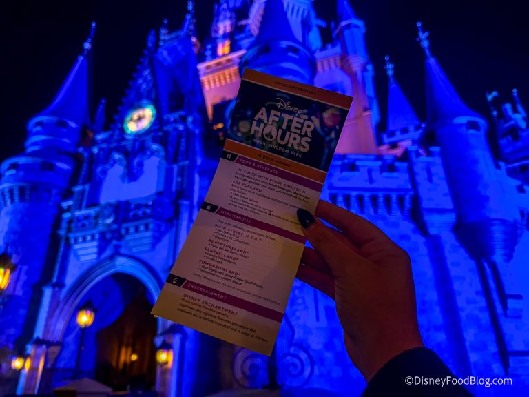 This Is the Best Magic Kingdom News We've Seen All Month | the disney ...