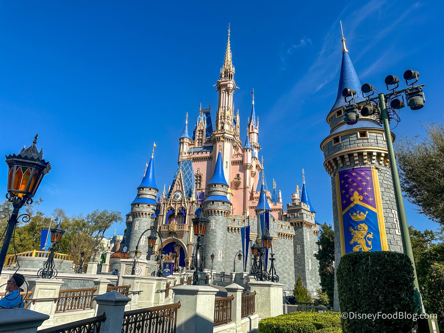 5 Things I Will NEVER Buy Anymore in the Magic Kingdom | the disney ...