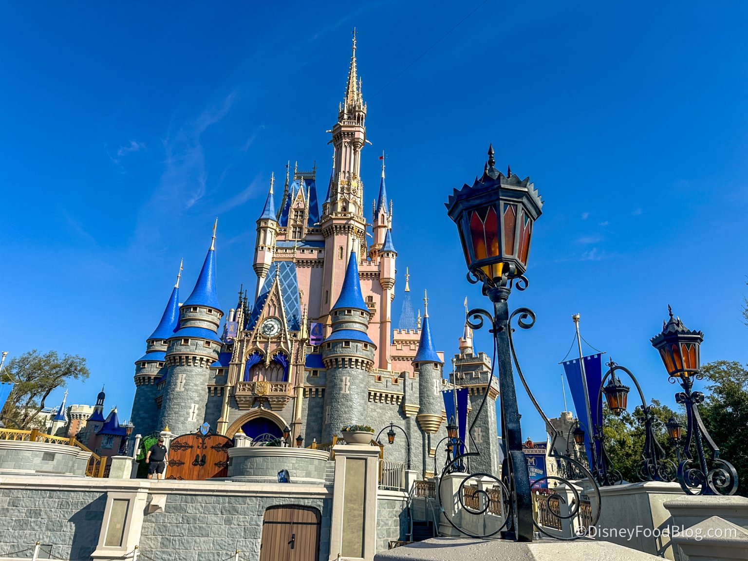 CONFIRMED: 5 Ride Rules Disney World Is Enforcing in 2025 | the disney ...