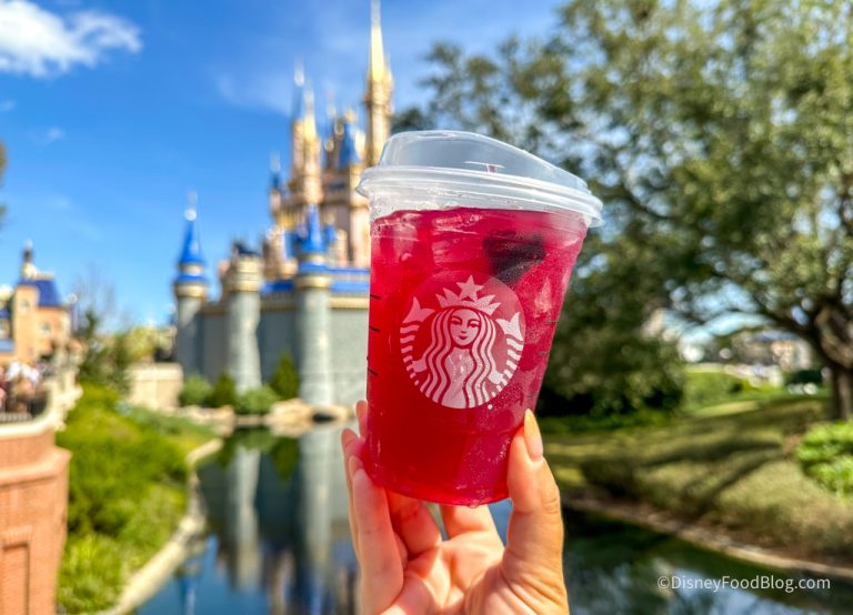 NEW Menu Items Are Dropping at Starbucks for Summer | the disney food blog