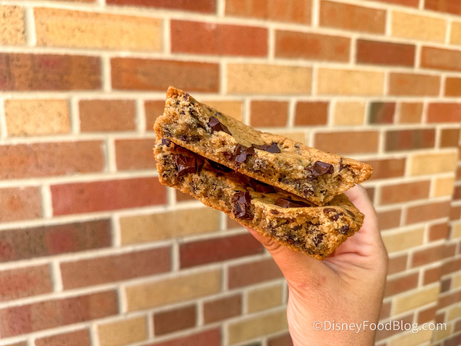 REVIEW: At Under $7, These Are the 2 BEST Snacks in Disney's Hollywood ...