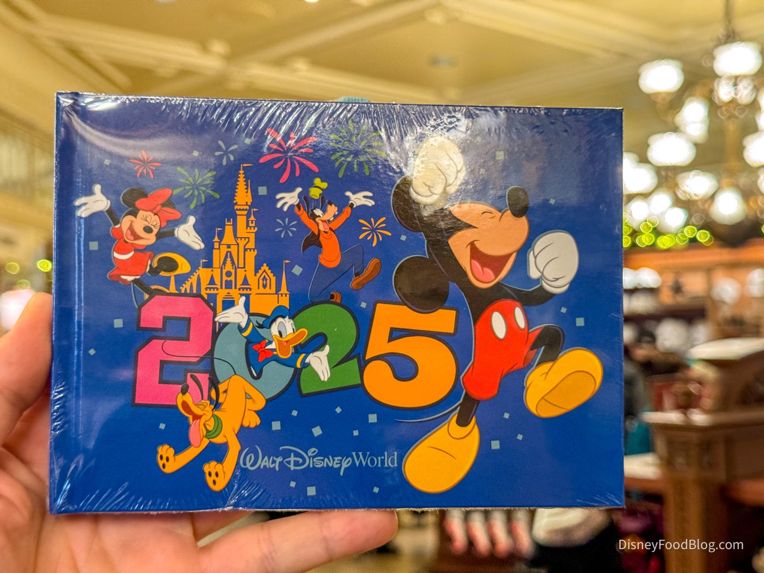 Why You Should Never Buy Disney Autograph Books in the Parks | the ...