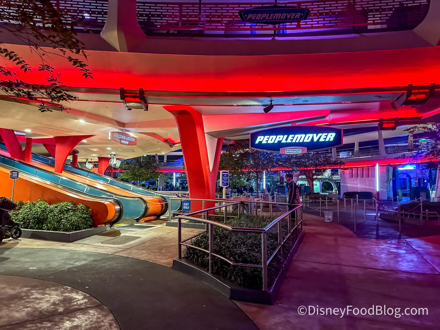 "Cat Nappers" Are Taking Over These 7 Places in Disney World, and We ...