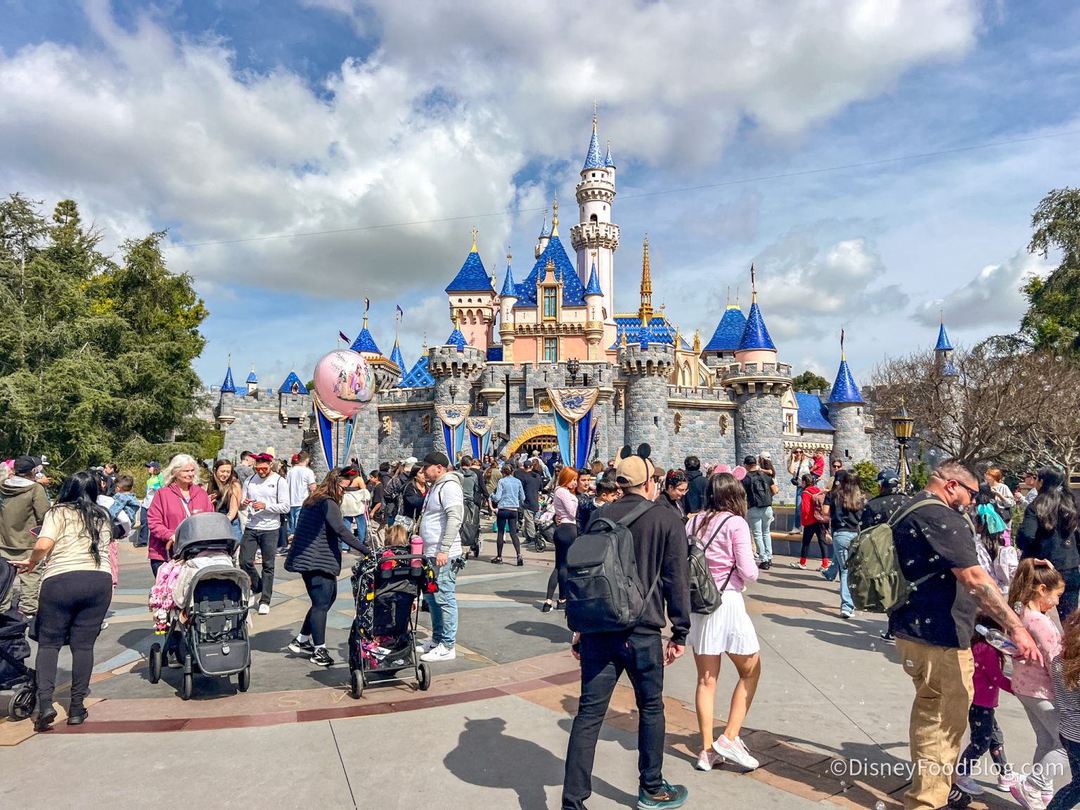 3 New Rules Disneyland Is Enforcing in 2025 | the disney food blog