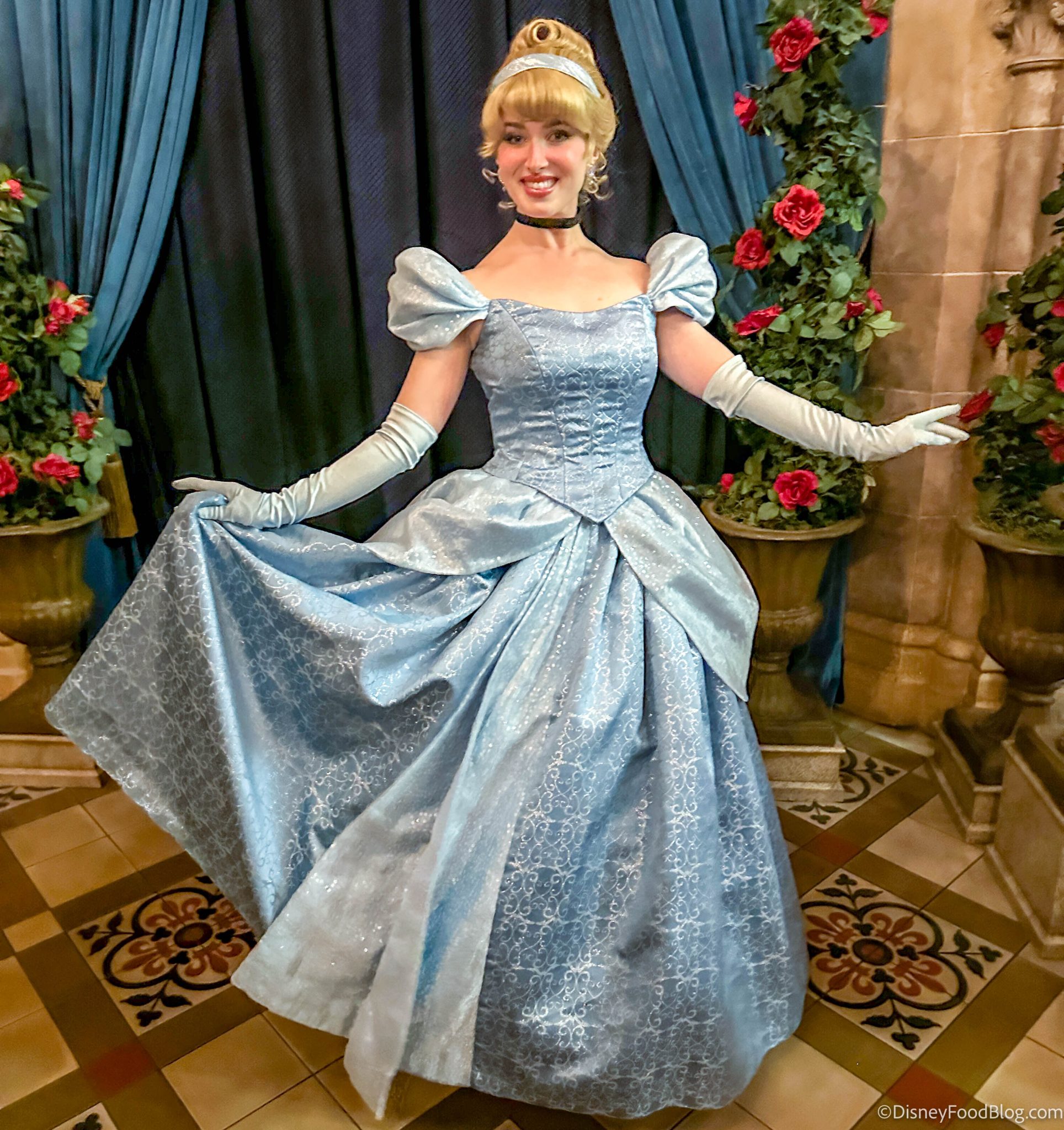 REVIEW: Why You Should Skip Disney World's Cinderella's Royal Table and ...