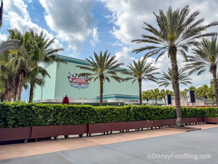 CONFIRMED: TWO Disney World Attractions Finally Have New Opening Dates ...