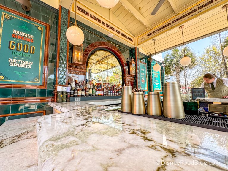 SURPRISE! A NEW Bar Just Opened in Disney World, and You're Gonna LOVE ...