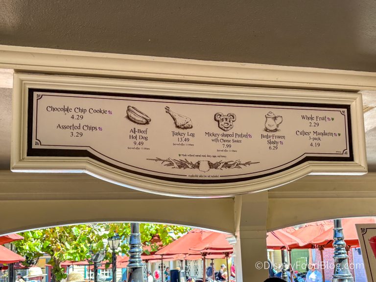 REVIEW: You Might Be Skipping This Magic Kingdom Snack Bar, but We're ...