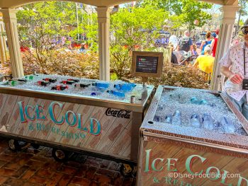REVIEW: You Might Be Skipping This Magic Kingdom Snack Bar, but We're ...