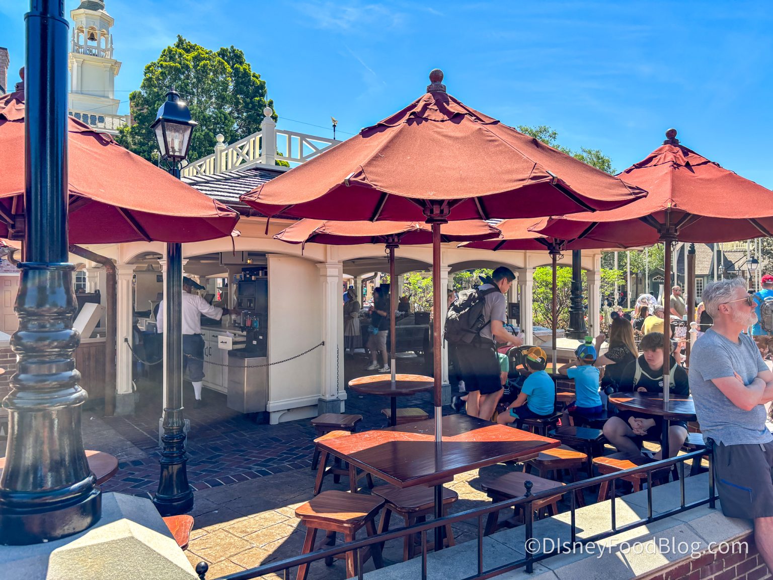 REVIEW: You Might Be Skipping This Magic Kingdom Snack Bar, but We're ...