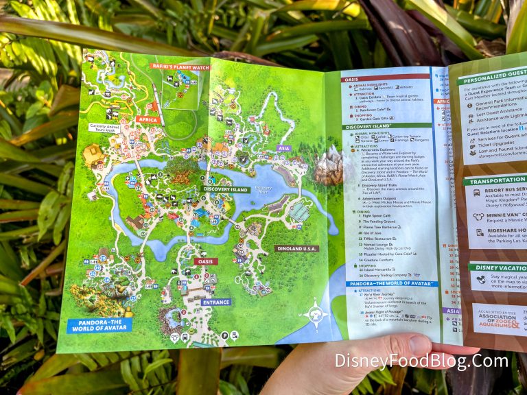 Disney's Animal Kingdom Has A New Map And It's Got One Major Change ...