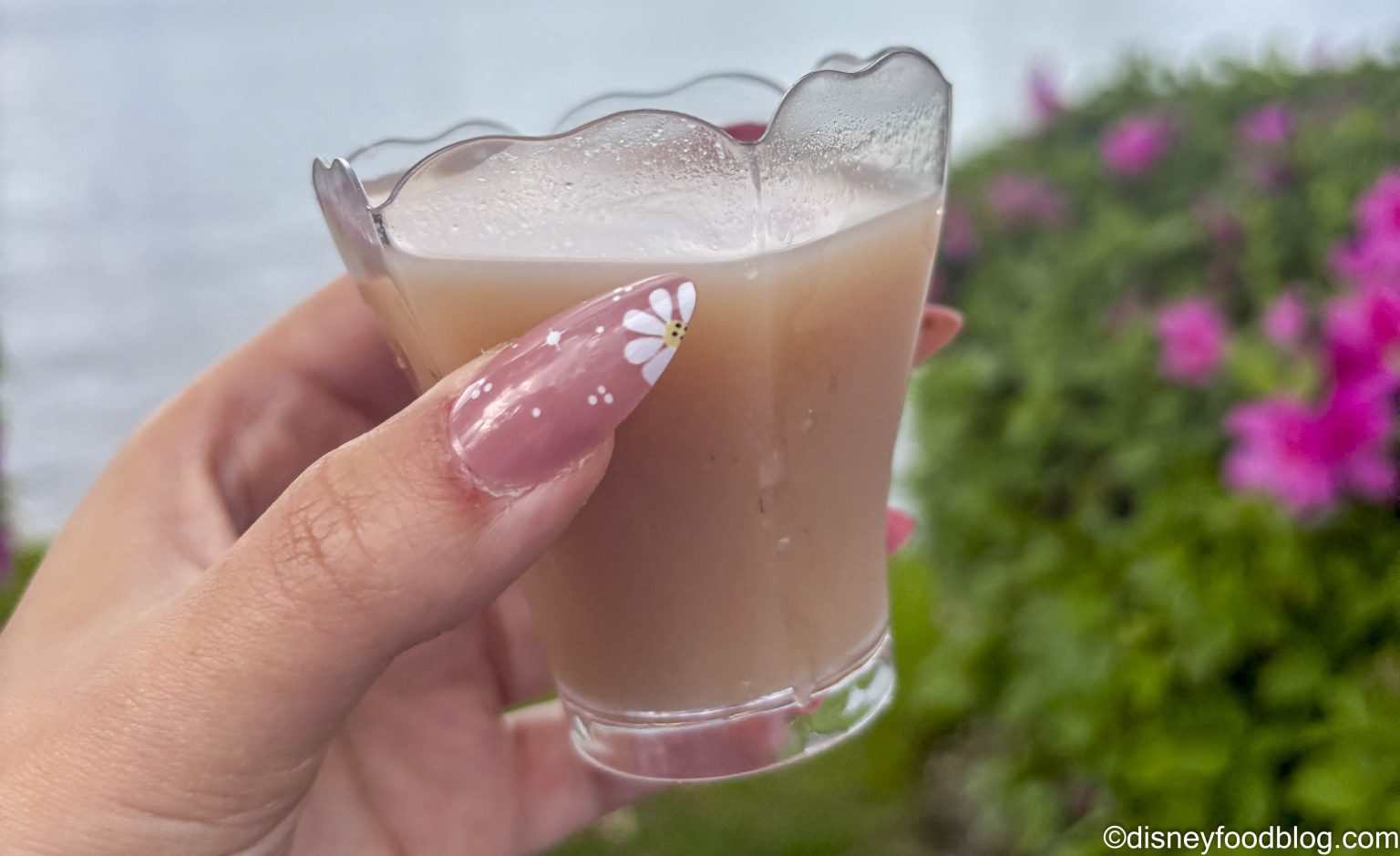 2025 EPCOT Flower and Garden Festival – Hanami | the disney food blog