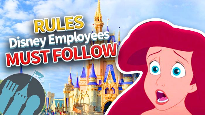 DFB Video: 11 Unbreakable Rules Disney Employees MUST FOLLOW | the ...