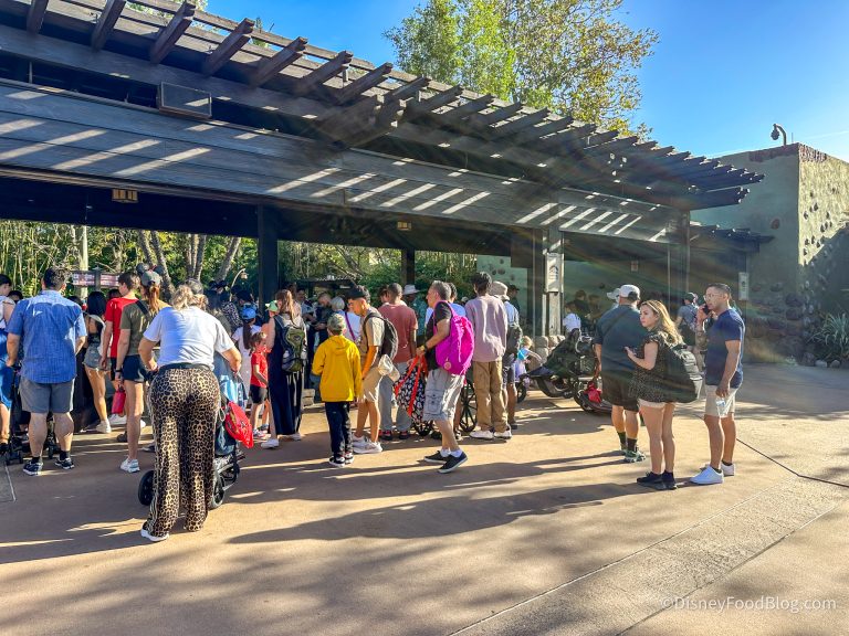 6 Definitive Dress Code Rules for Disney World | the disney food blog