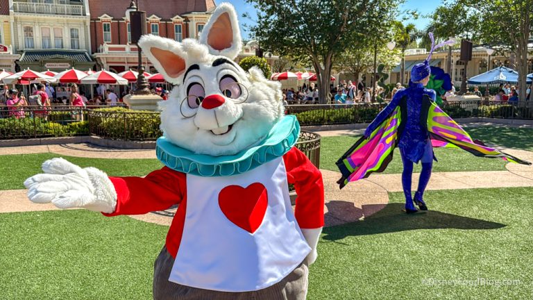 Dear Disney, We Are BEGGING for This RARE Character Meet and Greet To ...