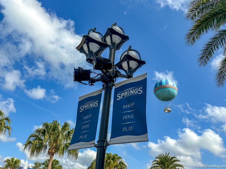 REVIEW: We Tried 2 NEW Drinks in Disney Springs, and We Have Thoughts ...