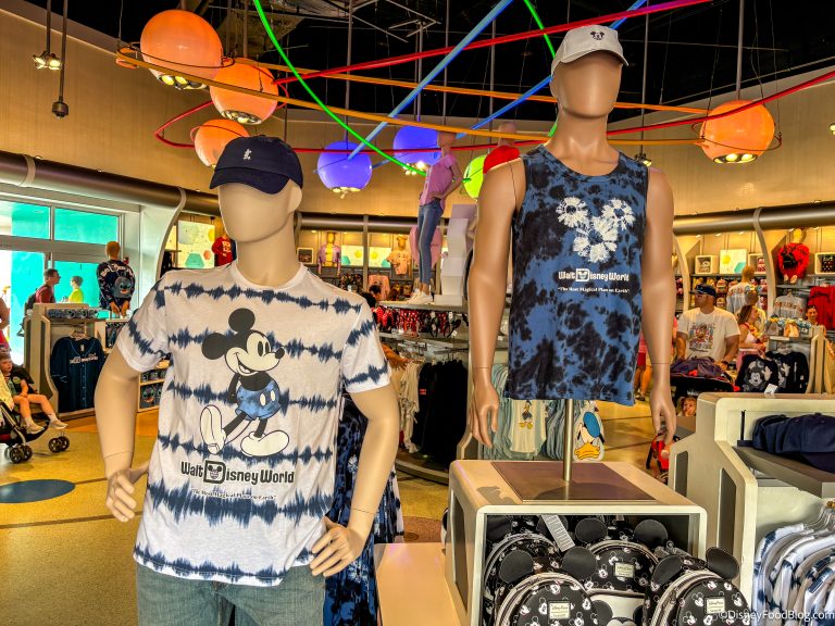 CONFIRMED: 3 Dress Code Rules Disney World Is Enforcing in 2026 | the ...