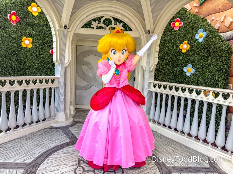 SUPER NINTENDO WORLD at Universal's Epic Universe | the disney food blog