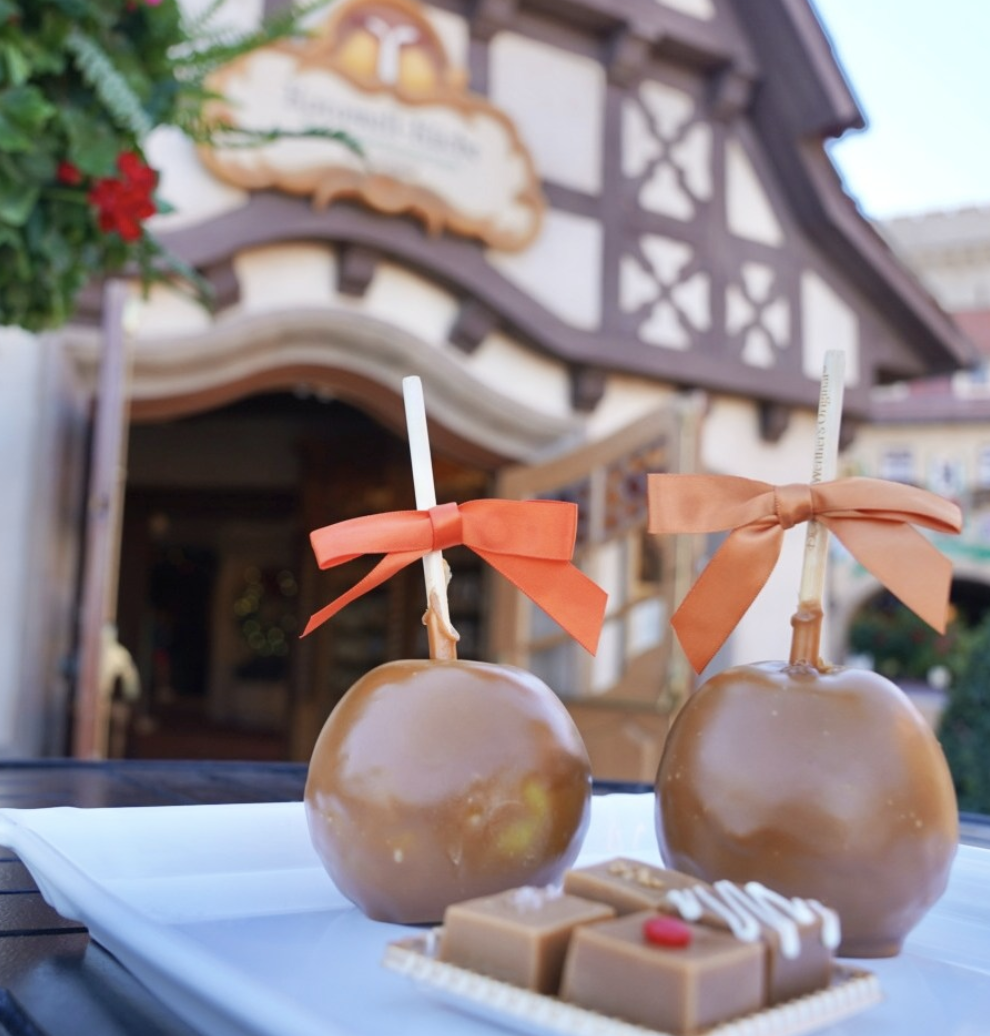 Something NEW Just Arrived at the Germany Pavilion in EPCOT 👀 | the ...