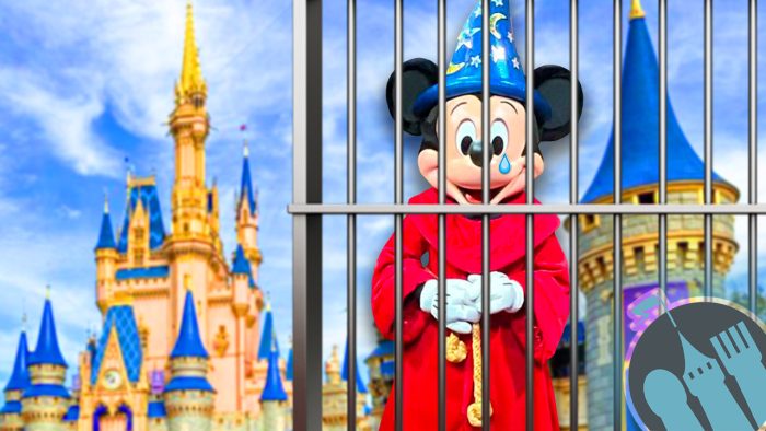 DFB Video: 13 Rules People Keep Breaking in Disney World | the disney ...