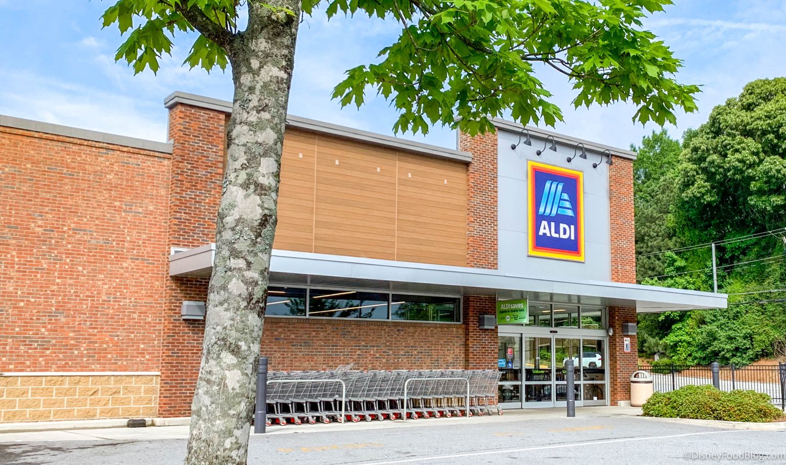 aldi stores | the disney food blog