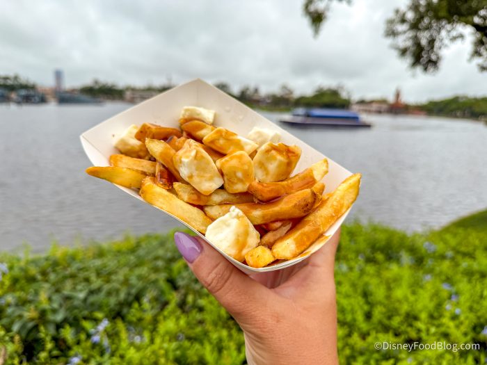 REVIEW: French Fry Fans Know the BEST Place for a Cheap Snack in EPCOT ...