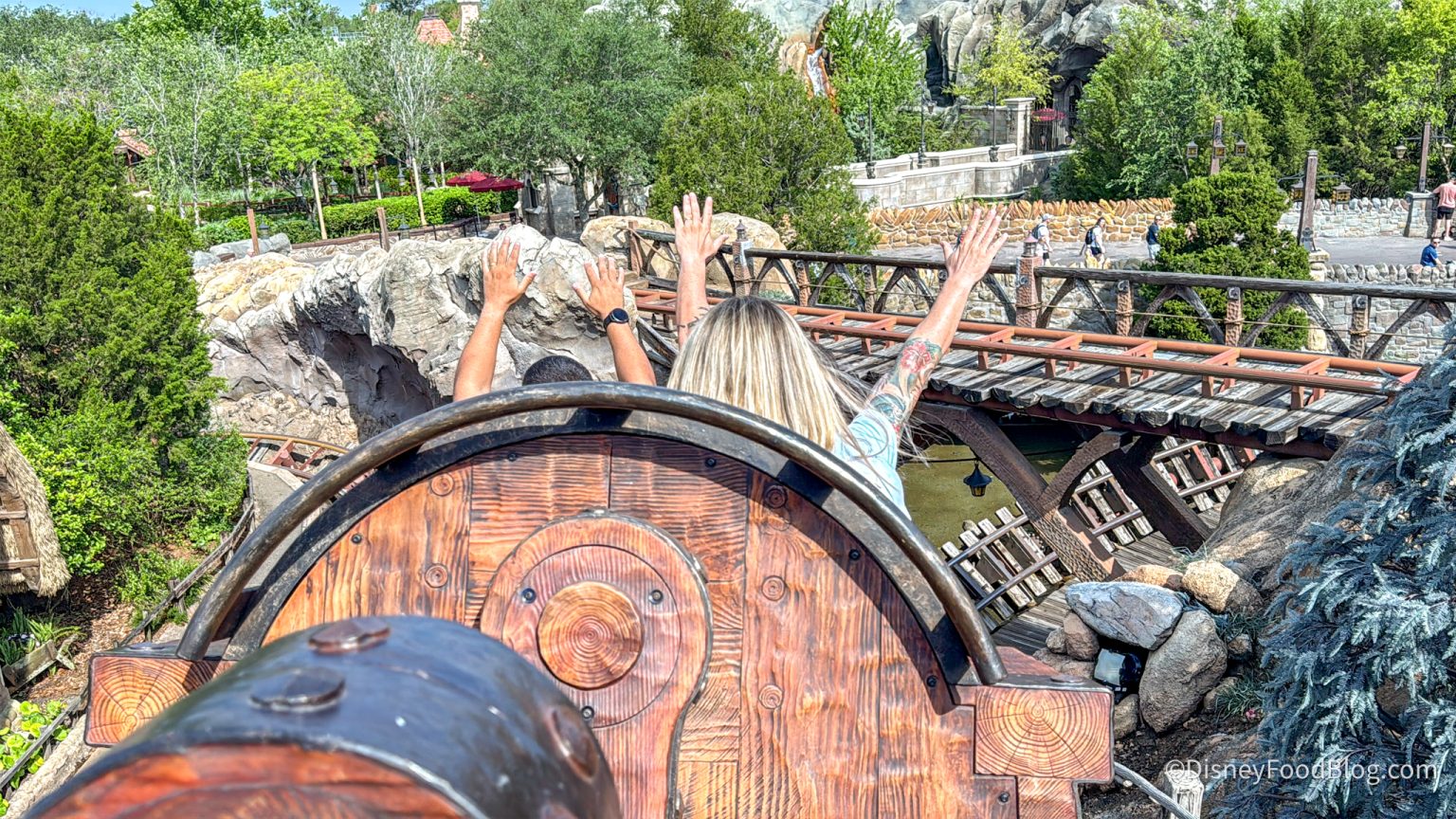 8 Disney World Rides Experts REFUSE To Go On | the disney food blog