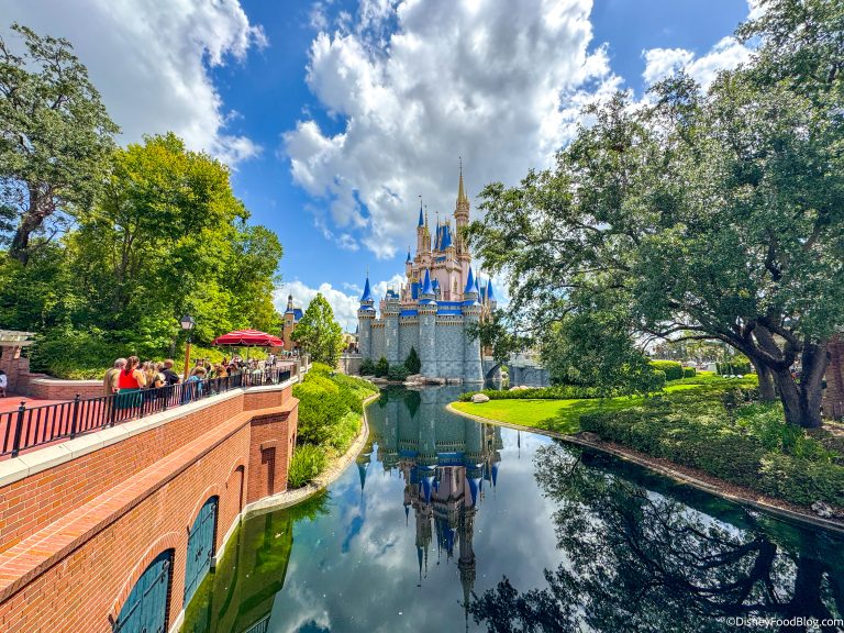 2 Magic Kingdom Rules We're Getting Worried About | the disney food blog