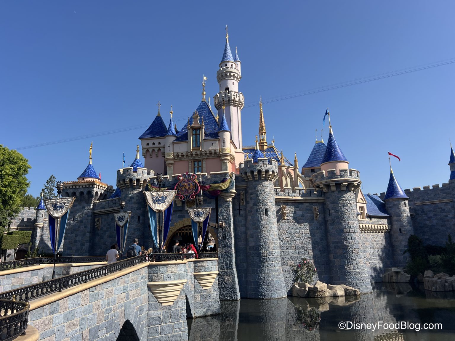 CONFIRMED: Disney Just Announced the Enchanted Tiki Room Attraction Is ...