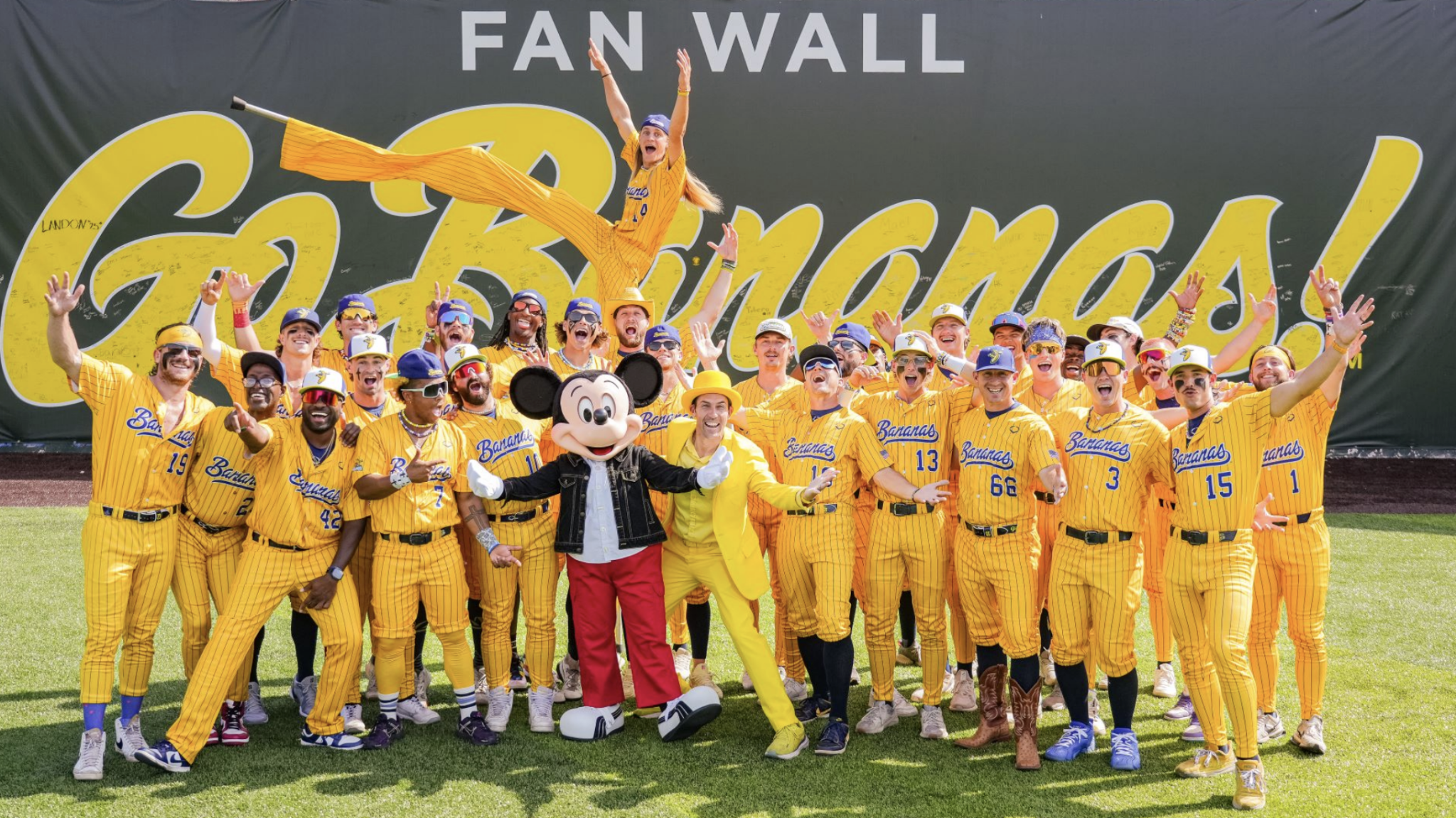 Everything NEW Coming to Disney+ in June | the disney food blog