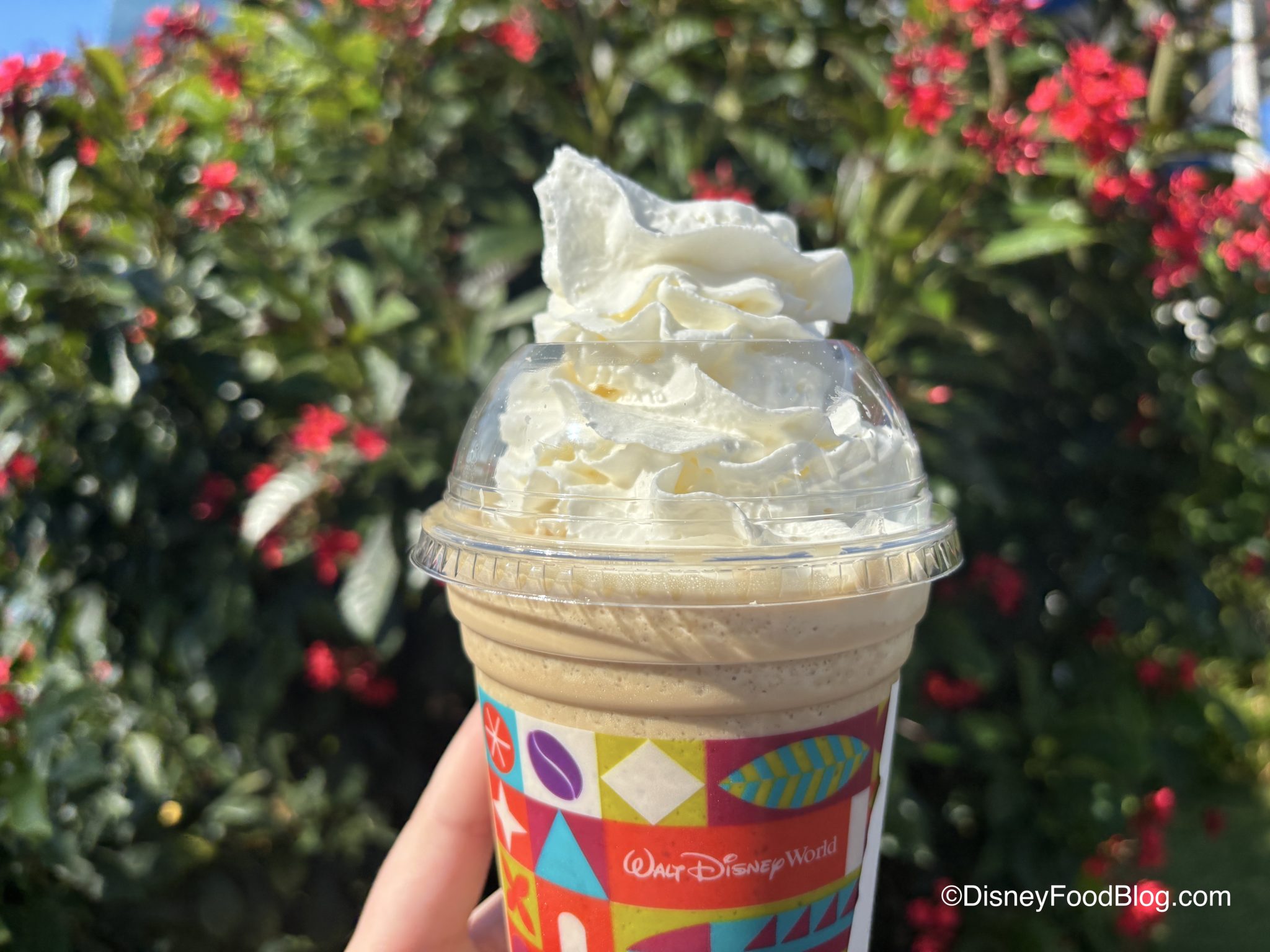 REVIEW: Is This the Ultimate DREAM Drink for Coffee Lovers in Disney ...