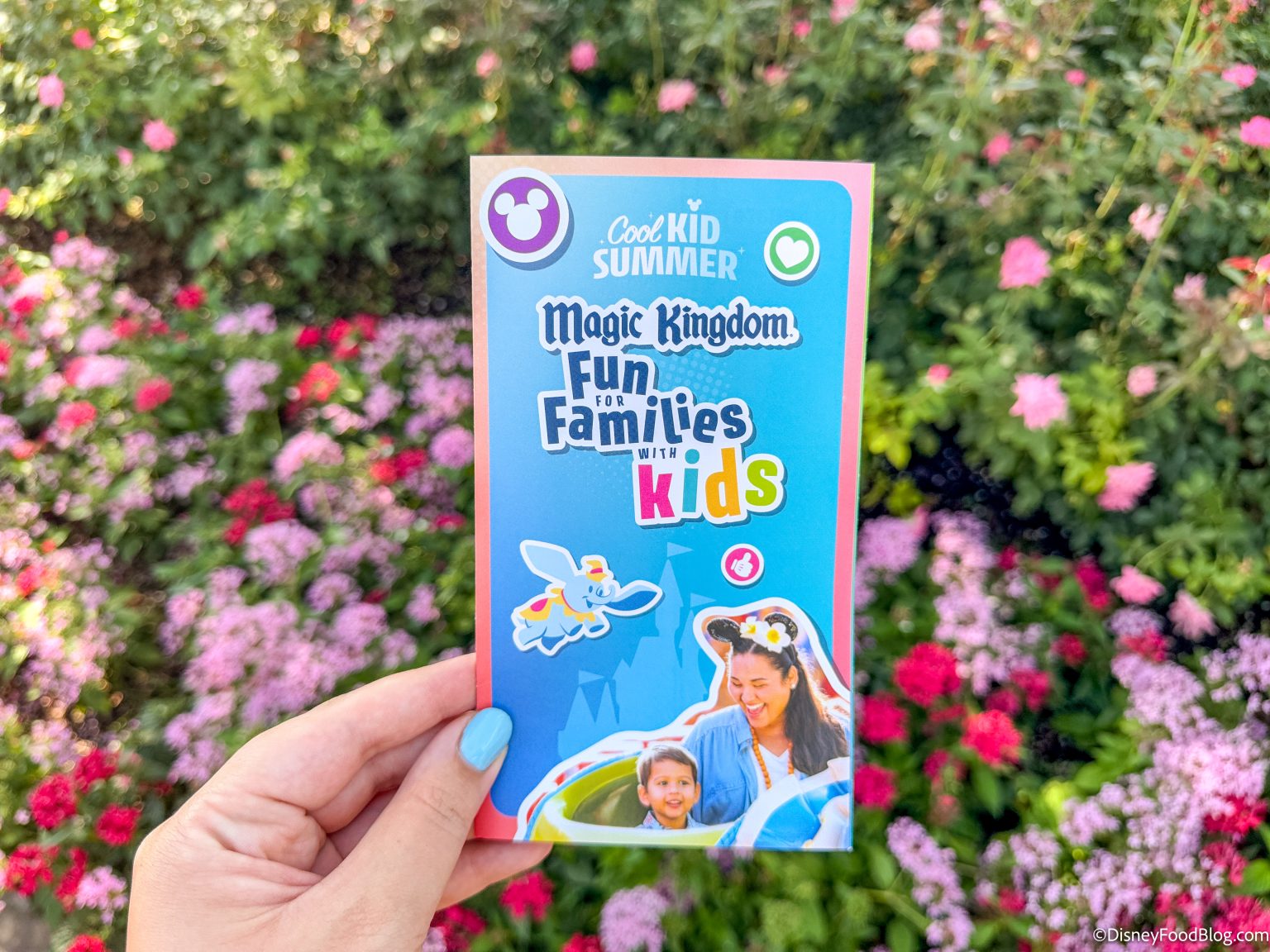 This Is the ONLY Thing You Need To Know About Going to Disney World in ...