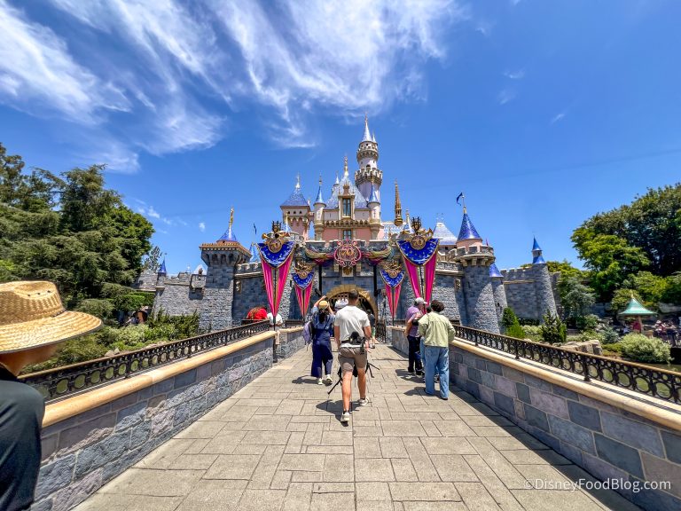 Disneyland Is Trying a New System for Your Restaurant Trash, and It's ...