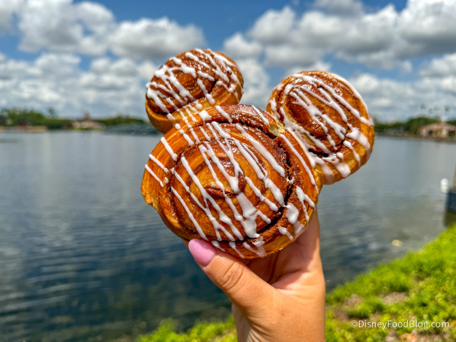 Why You Definitely Should Buy the Disney Dining Plan in 2026 | the ...