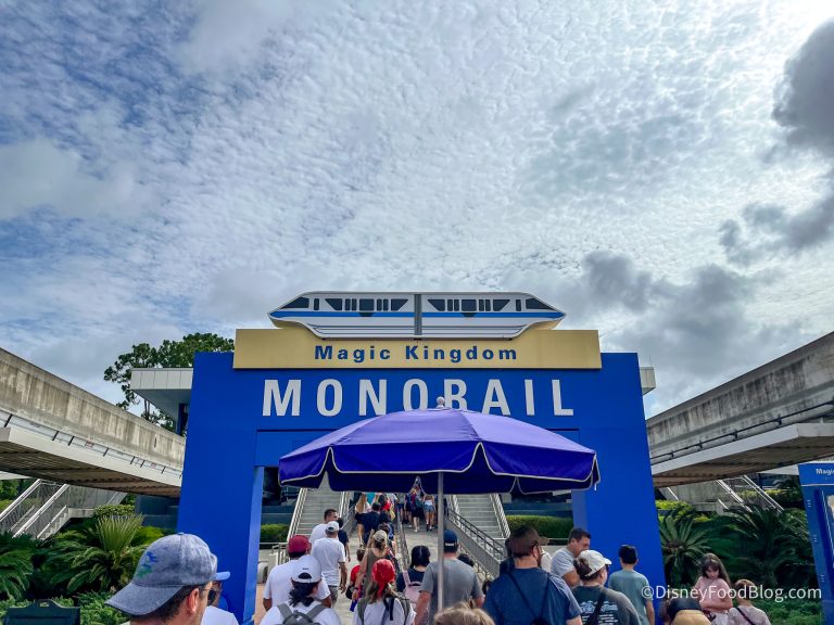 5 Tips For the NEW Disney Springs Bus Rule | the disney food blog