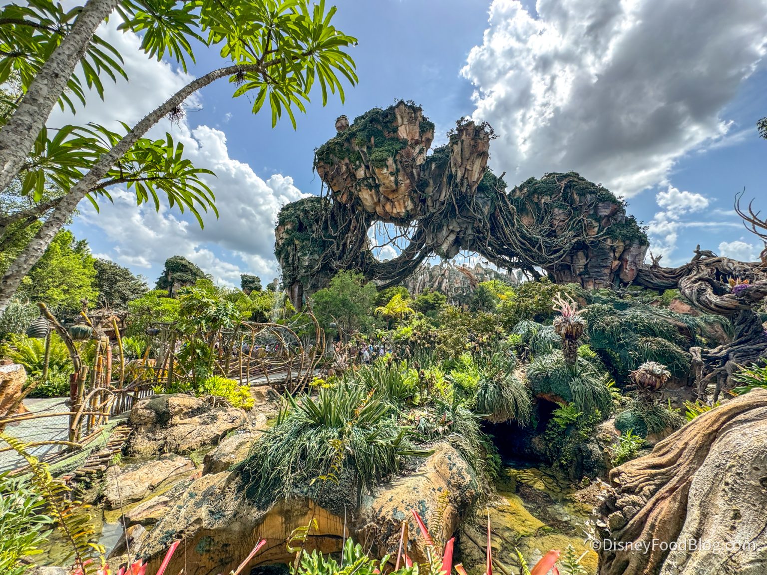 Tusker House Restaurant review | the disney food blog