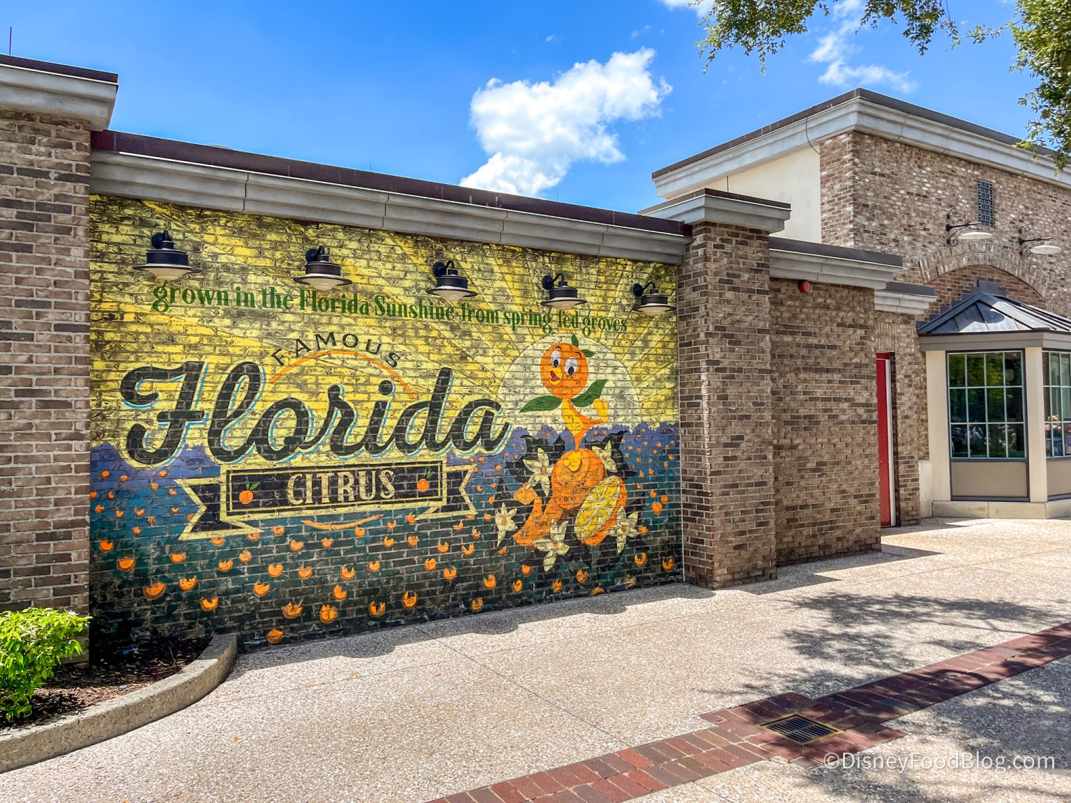Donut AND Wine Slushy Flights? Disney Springs Quietly Reveals NEW ...
