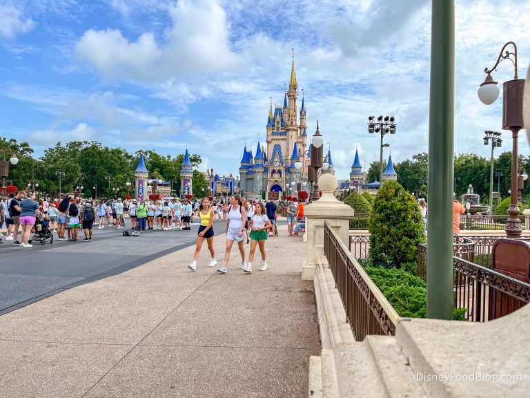 I Bought This $20 Amazon Find for Disney World — It Was a Total ...