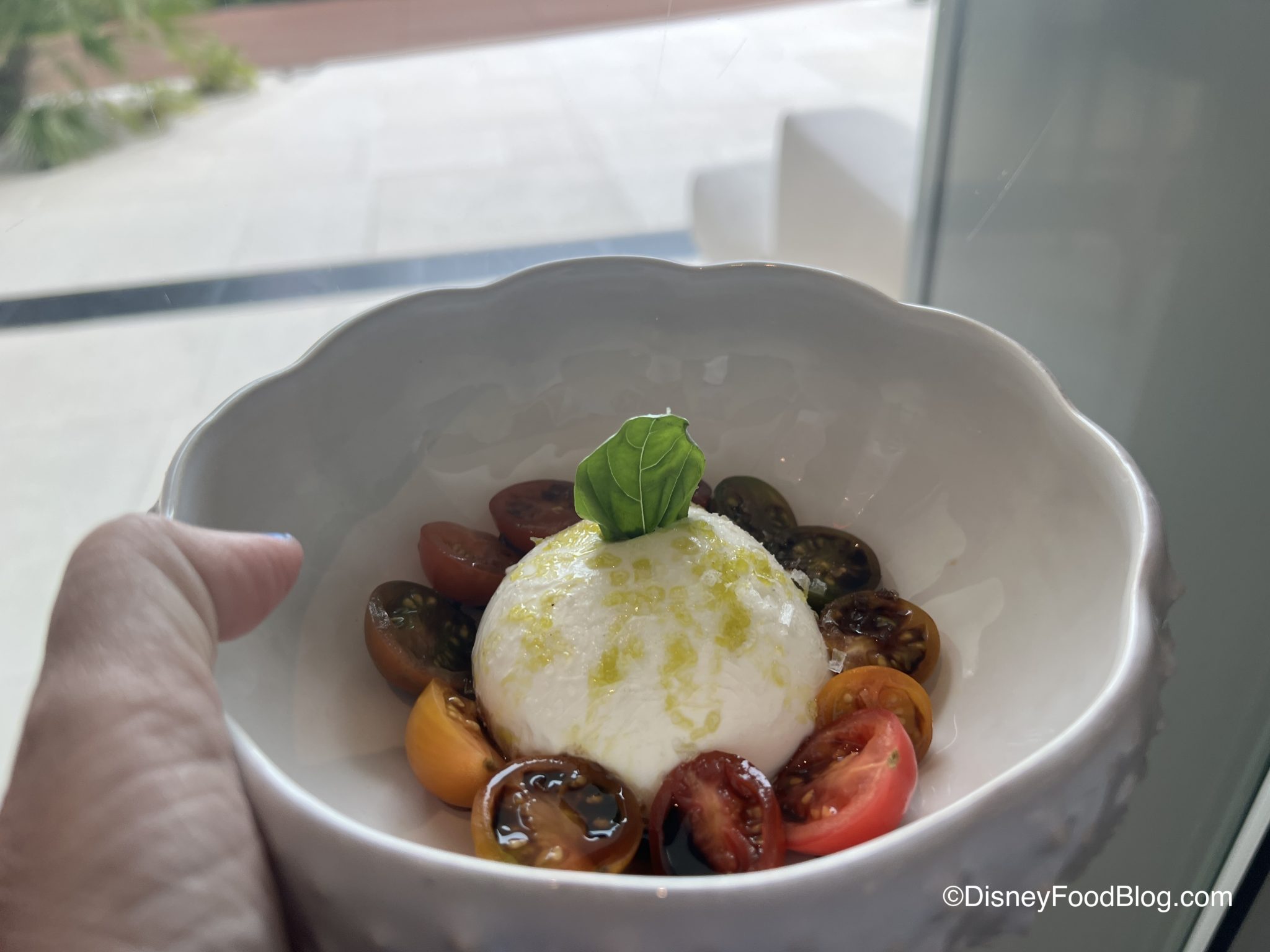 REVIEW: We Just Dined at a SPECIAL Bar in an Underrated Hotel Near ...