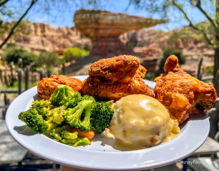 REVIEW: This Disney Fried Chicken Might Give Homecomin' a Run for Its ...