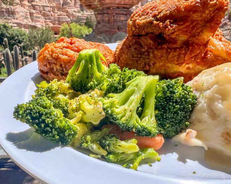 REVIEW: This Disney Fried Chicken Might Give Homecomin' a Run for Its ...