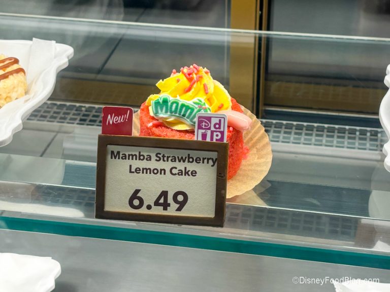 REVIEW: A NEW $6 Snack Just Landed in Our FAVORITE Place in the Germany ...
