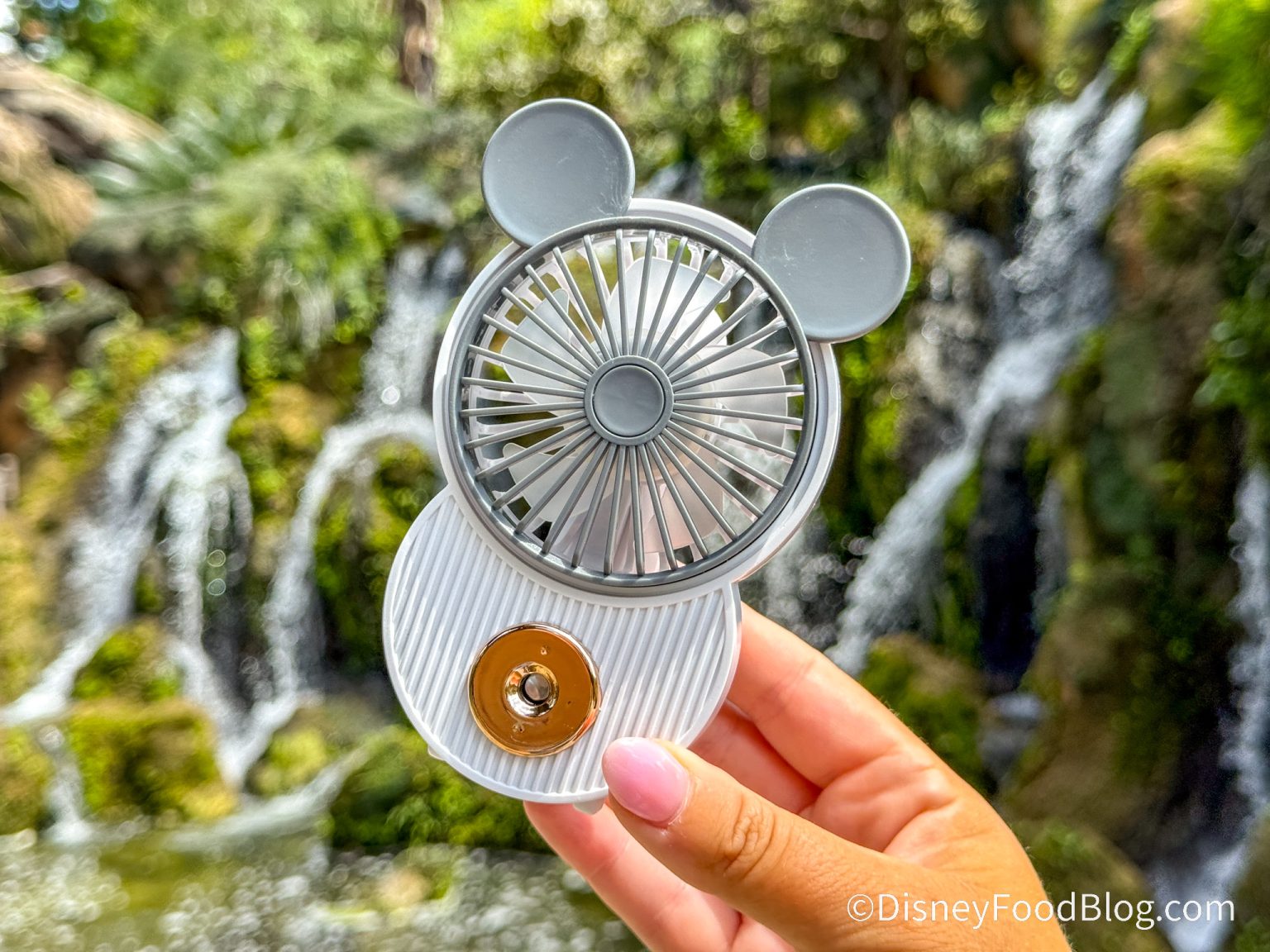 Is Park Hopping REALLY Worth $198? 9 Disney World Experts Weigh In ...